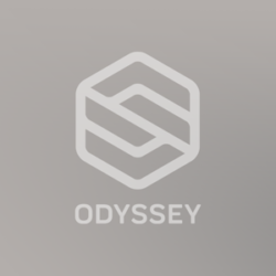About Odyssey Systems - Who We Are, What We Do